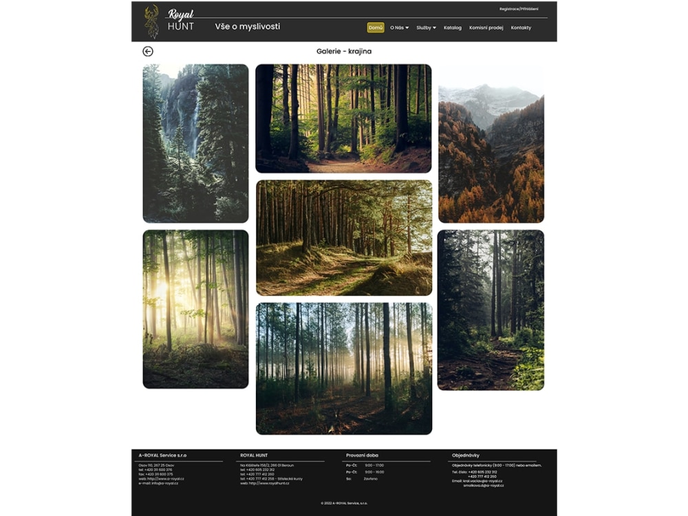 Design of your dream website | Upwork