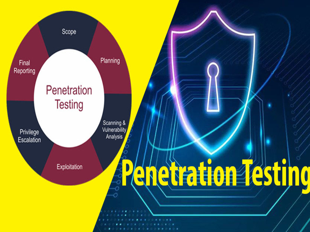 You Will Get Professional Vulnerability Assessment And Penetration