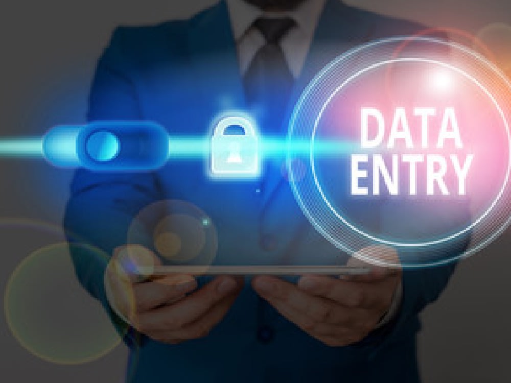 An Accurate Error Free Organized Easy To Read And Secure Data Entry Upwork