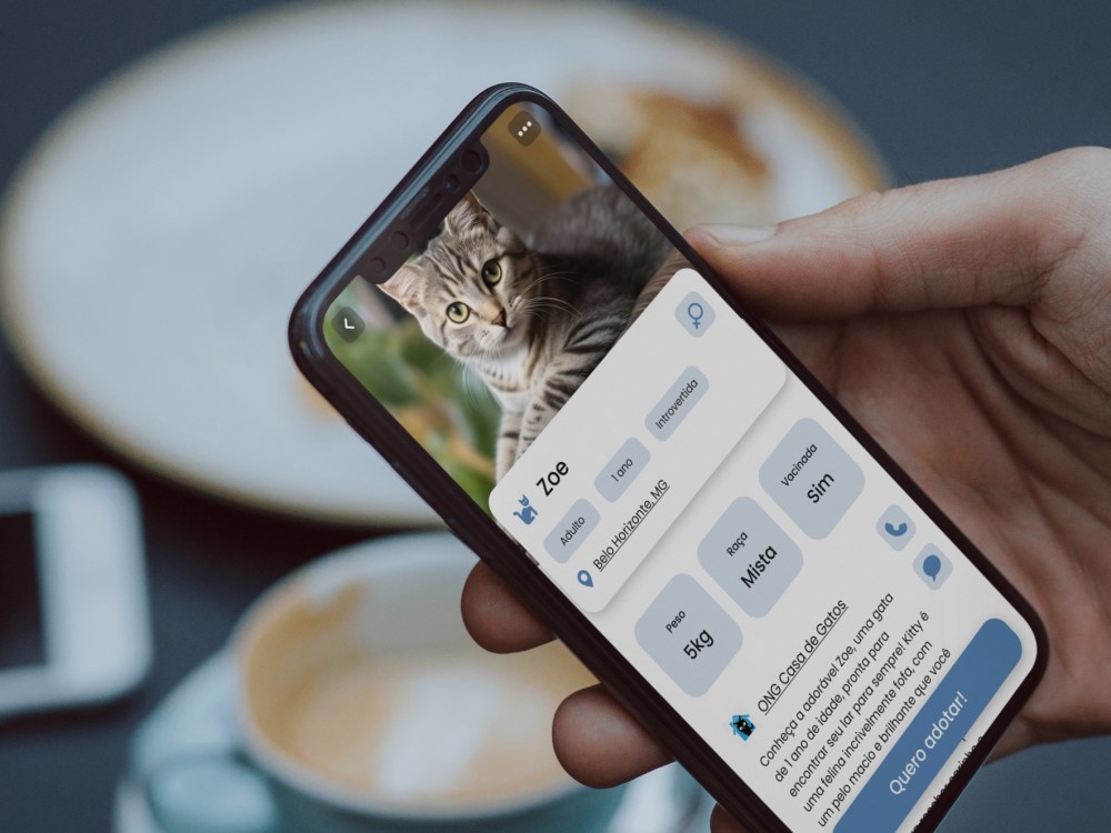 A modern and well structed ux/ui design project | Upwork