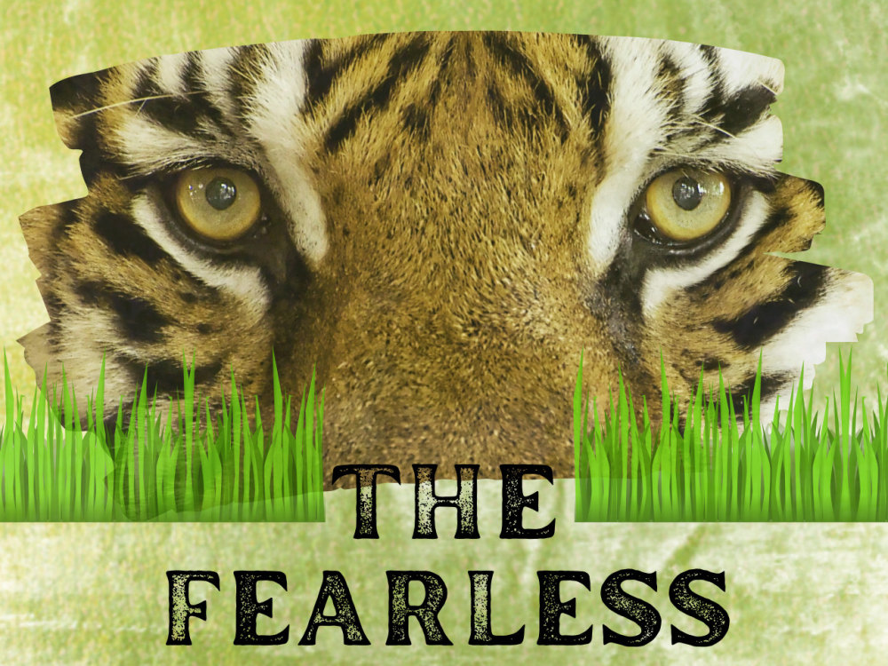 Specialize in creating visually captivating designs that leave ...