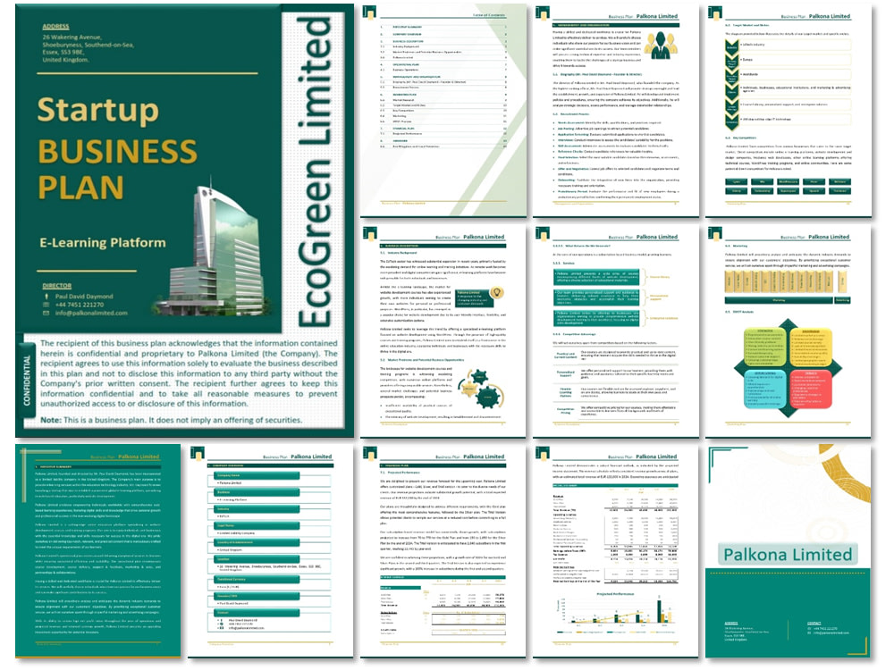 A Bank/ Investor Ready Business Plan | Upwork