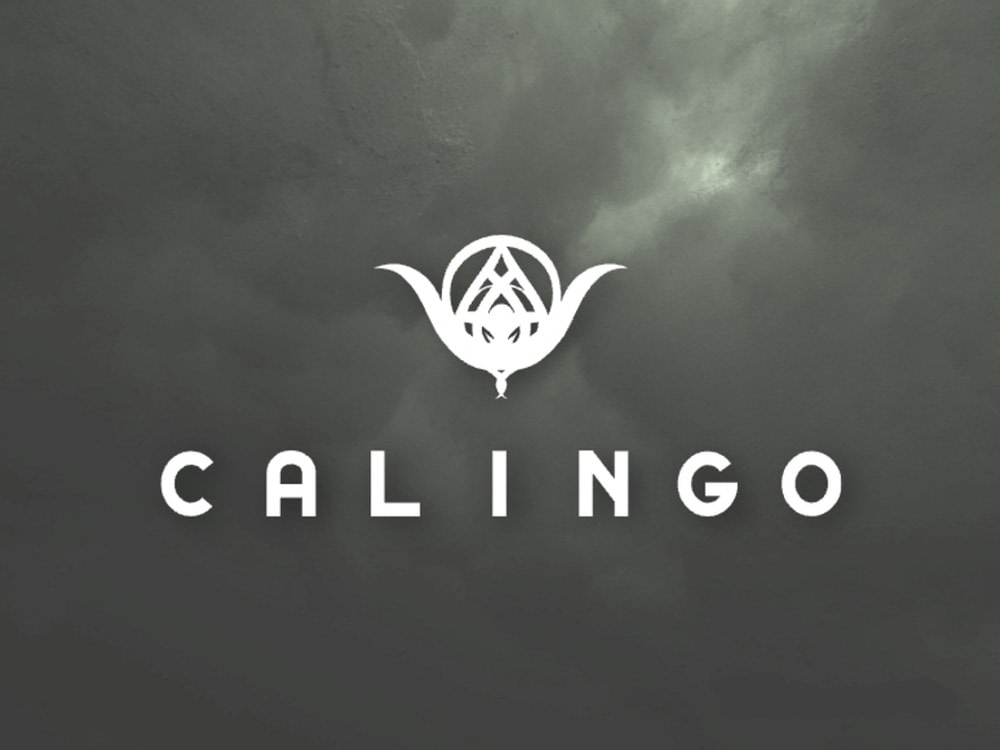 "LogoCraft: Crafting Memorable Logos" | Upwork