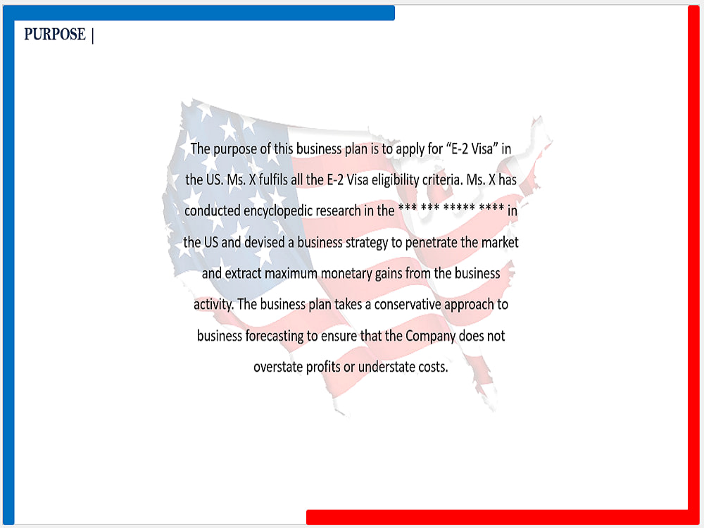 An E-2 Visa Business Plan fully compliant with USCIS requirements | Upwork