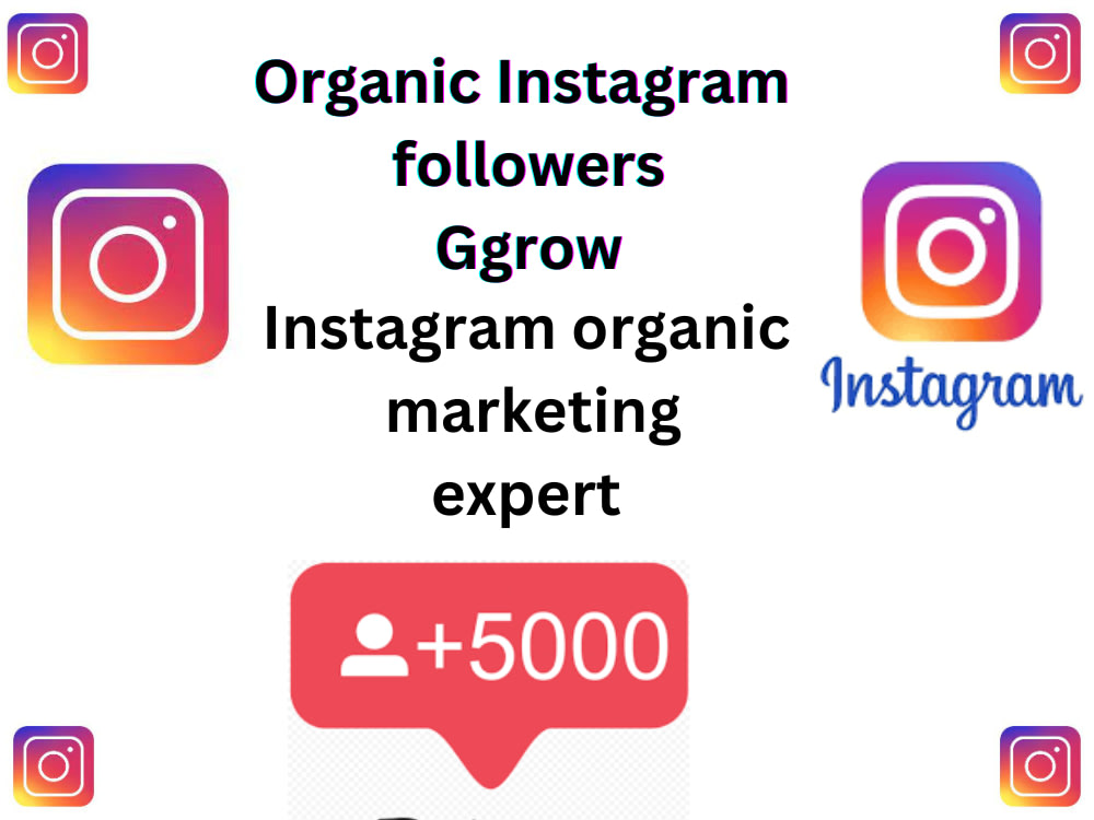 Organic Instagram followers and marketing Instagram management | Upwork