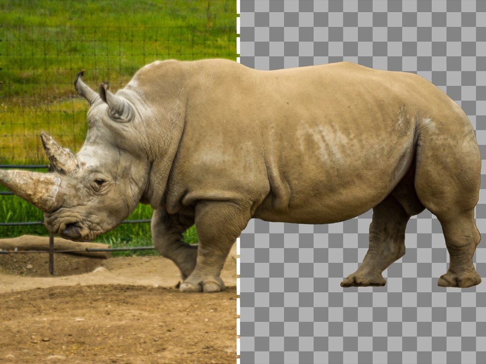 Background Removal: Say goodbye to distracting backgrounds. | Upwork