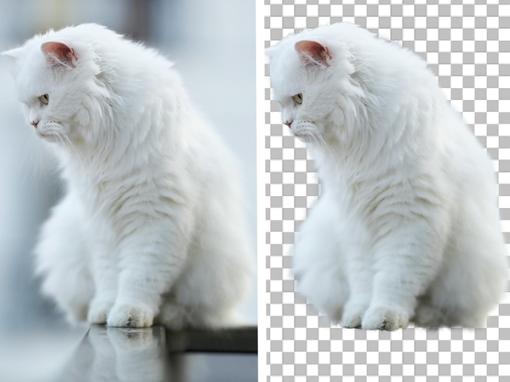 Background Removal: Say goodbye to distracting backgrounds. | Upwork