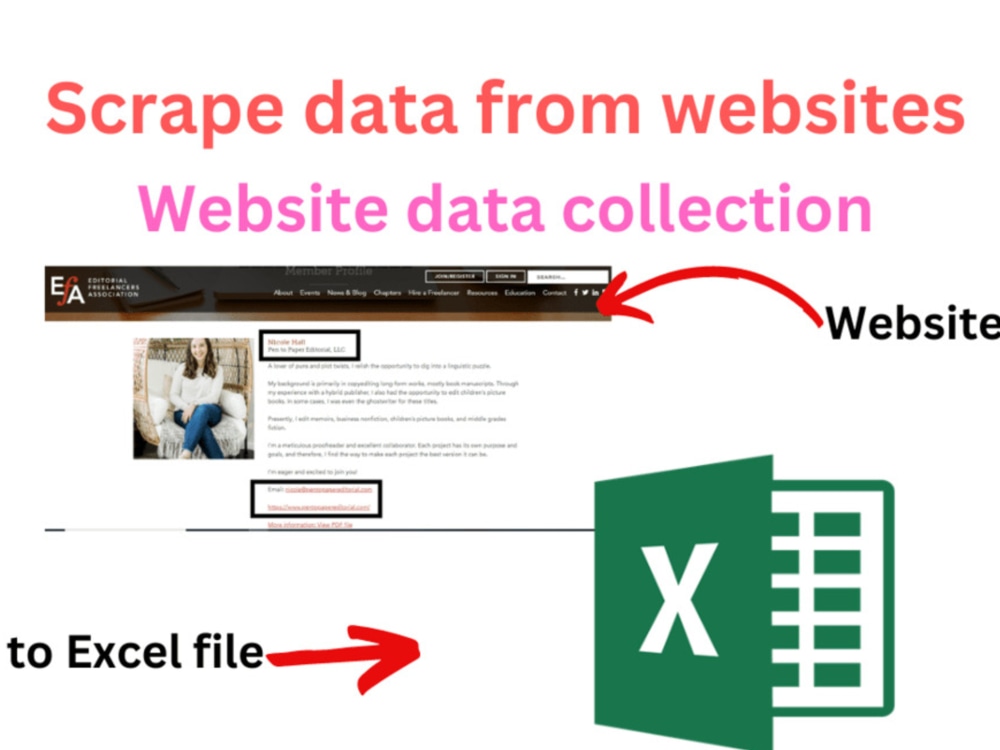 Data web scraping from any website, source, data mining | Upwork