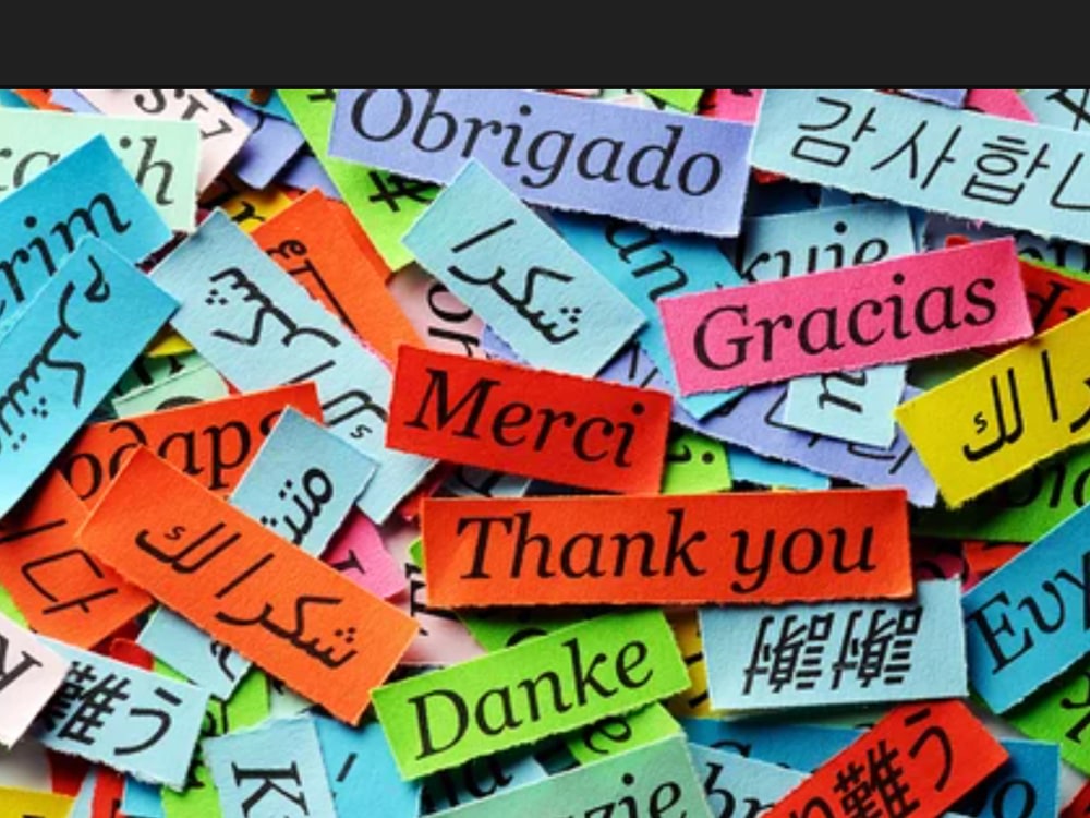 Fast data entry, typing, convert PDF to Word Excel, retyping copy past, OCR | Upwork