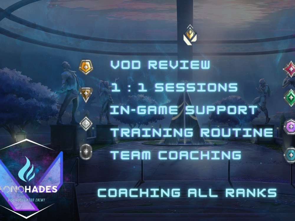 A Valorant Coaching Session | Upwork