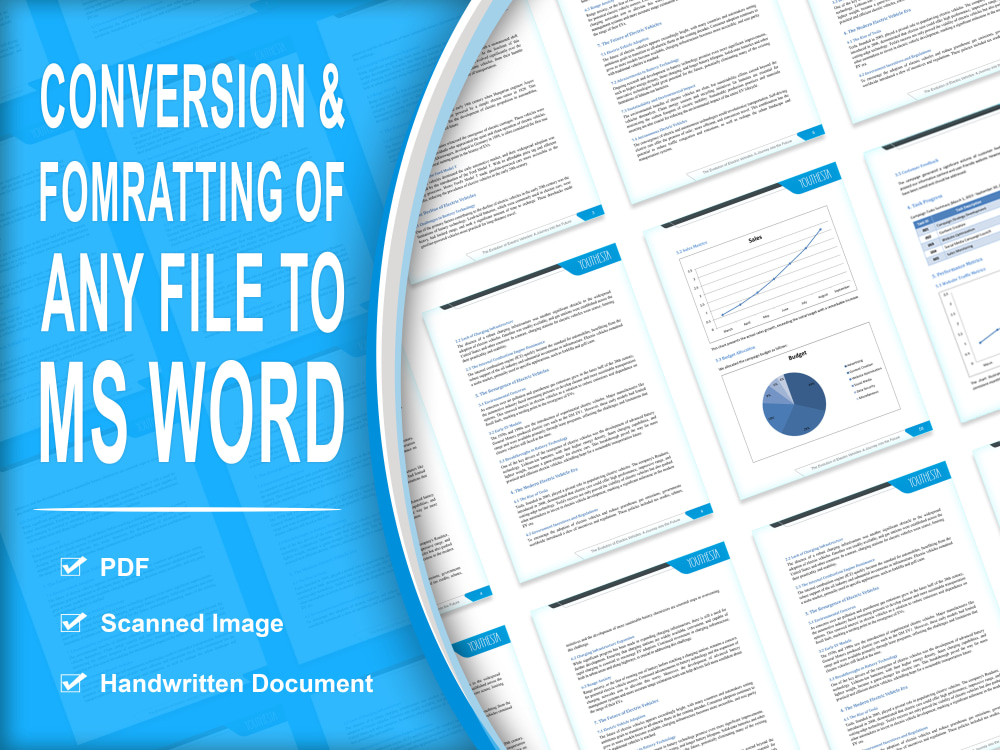 Properly converted & professionally formatted MS Word Document, PDF to ...