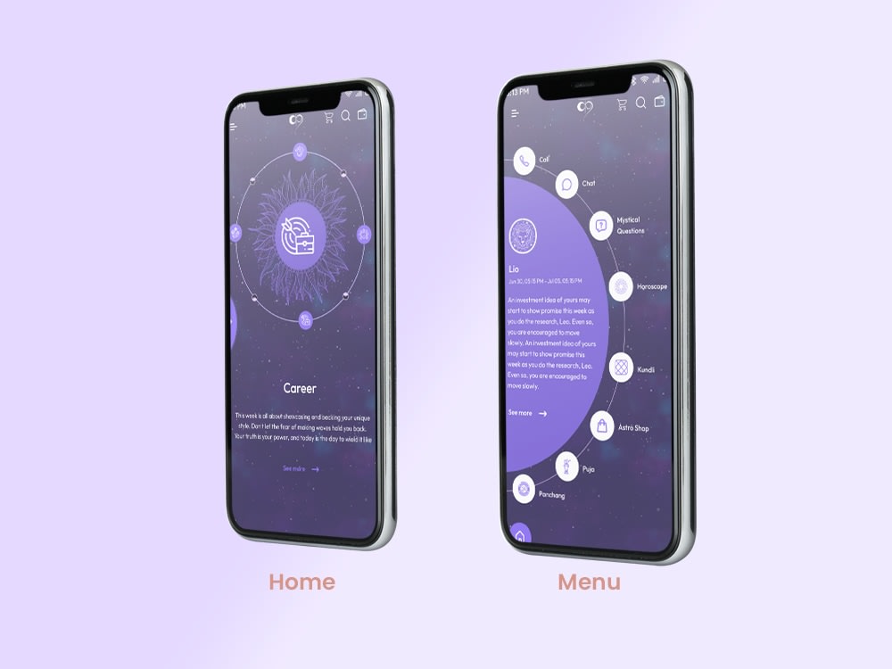 A complete Visual design for SaaS-based AI Astro App | Upwork