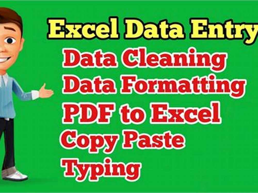 Excel Data Cleaning Data Formatting Pdf To Excel 100 Same Day