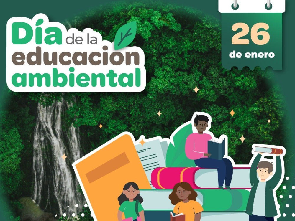 Images for advertising with great visual impact | Upwork