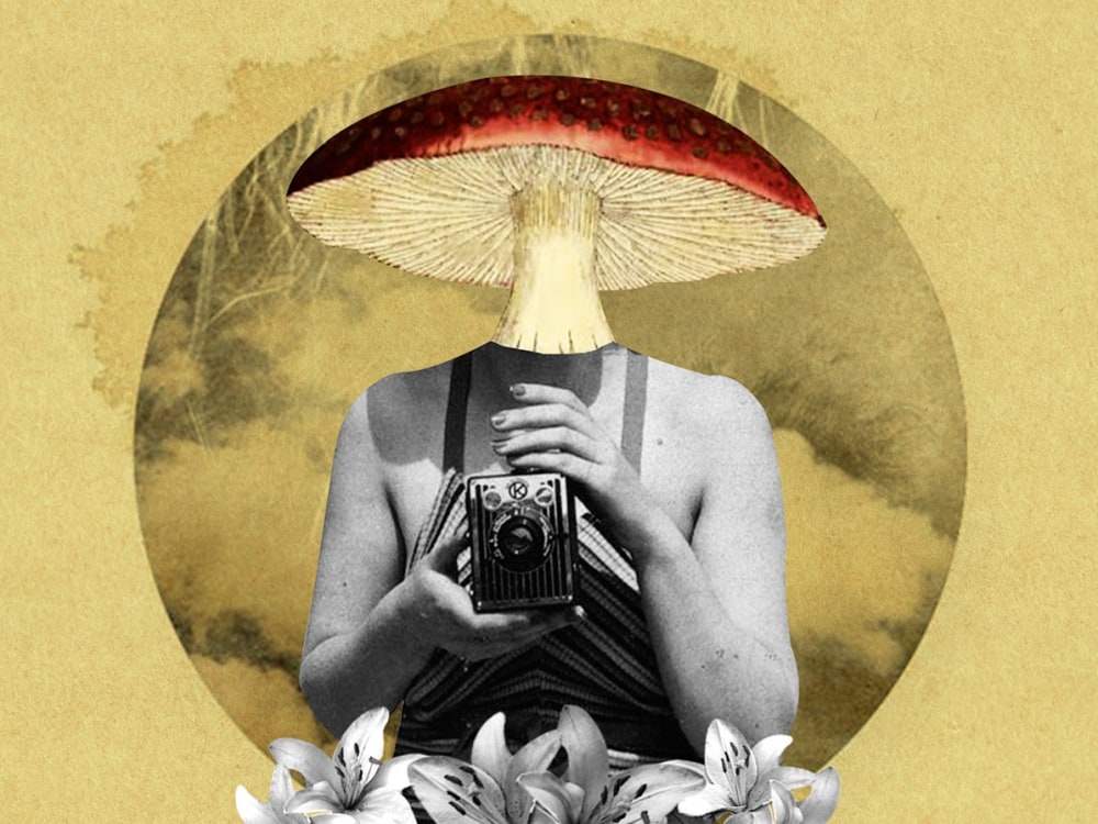 Images for advertising with great visual impact | Upwork