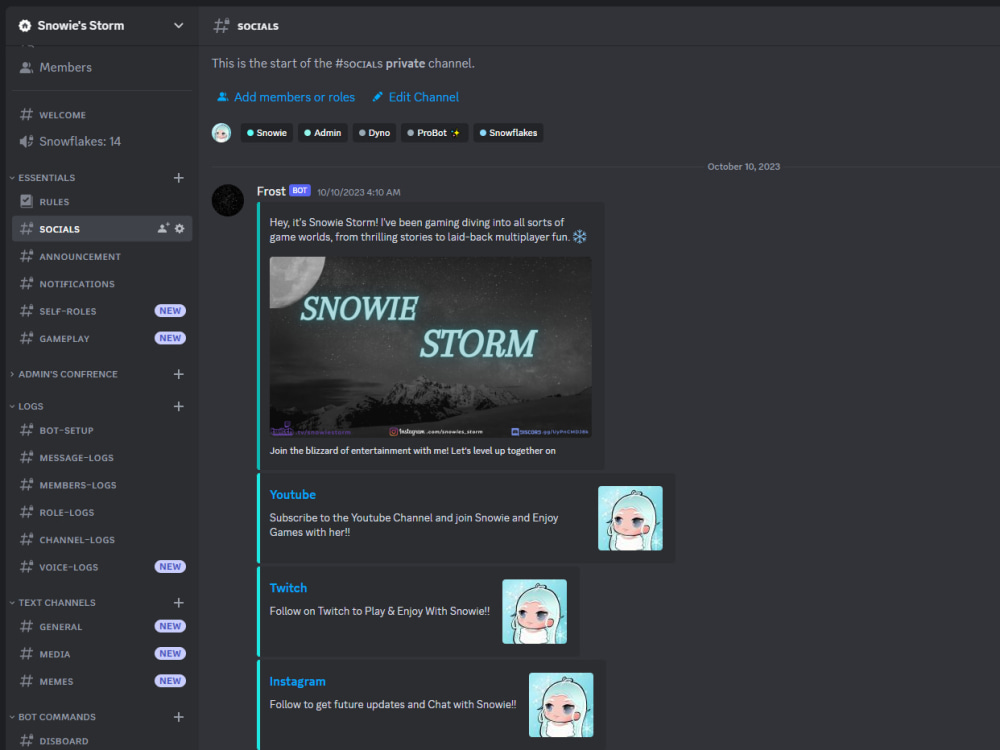 Discord Server Starter Pack for NFT/Youtube/ AI or any other Community ...