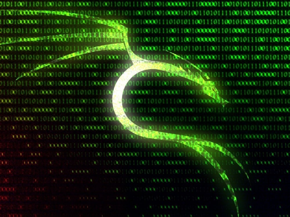 Kali linux, cyber security tasks | Upwork Kali linux, cyber security tasks | Upwork