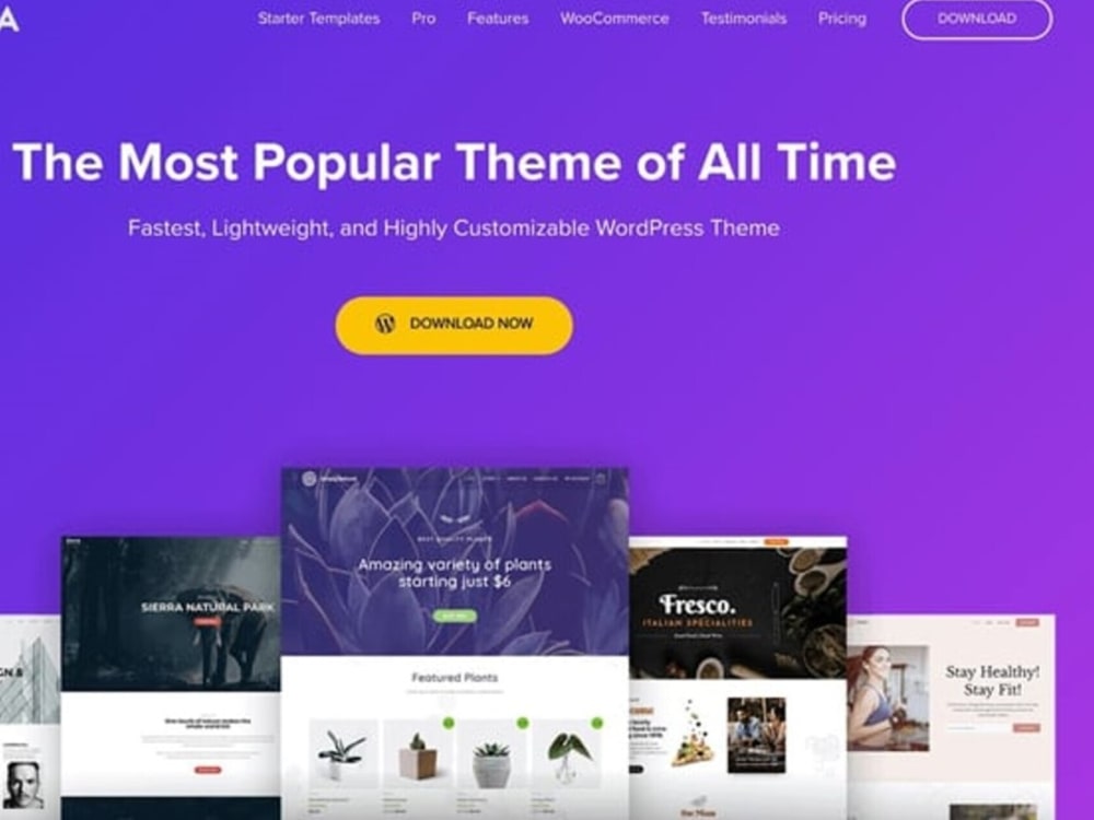 A Winning Custom Ecommerce Store Development Solution Upwork