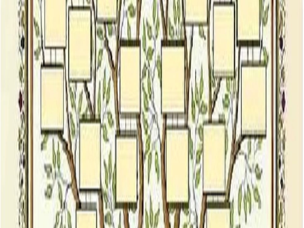 You amazing elegant editable organization chart, family tree | Upwork