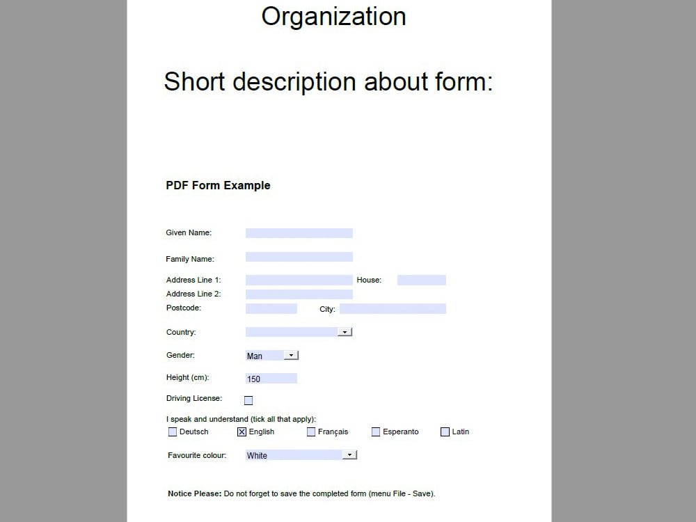 A professional fillable pdf form or fillable word form | Upwork