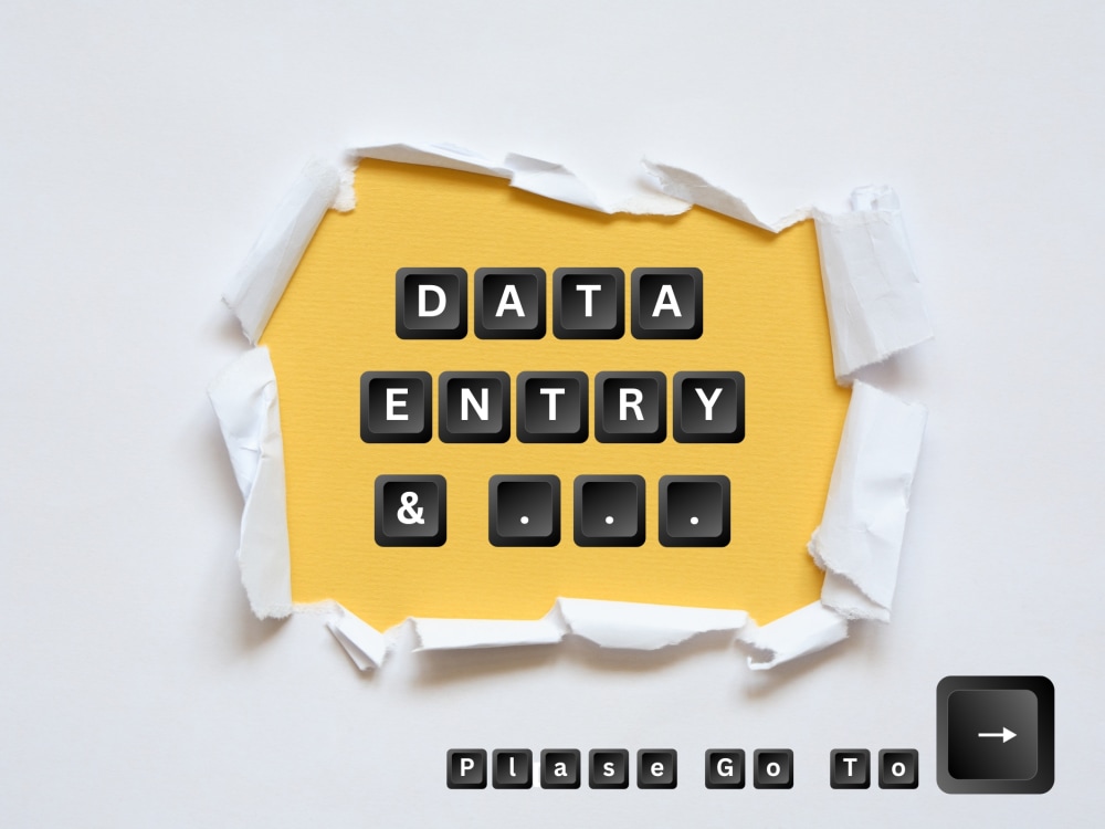 Professional Data Entry Services from An Engineer with 100% Accuracy ...