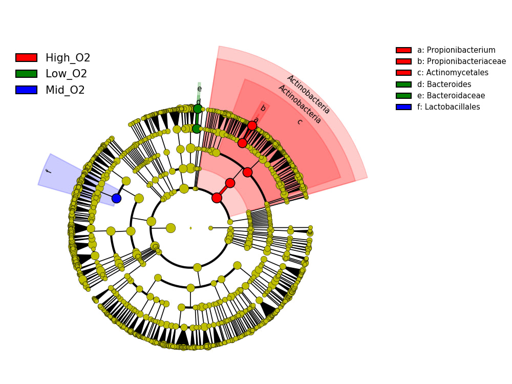 Complete 12 Microbiome bioinformatics analysis in 12 working days | Upwork