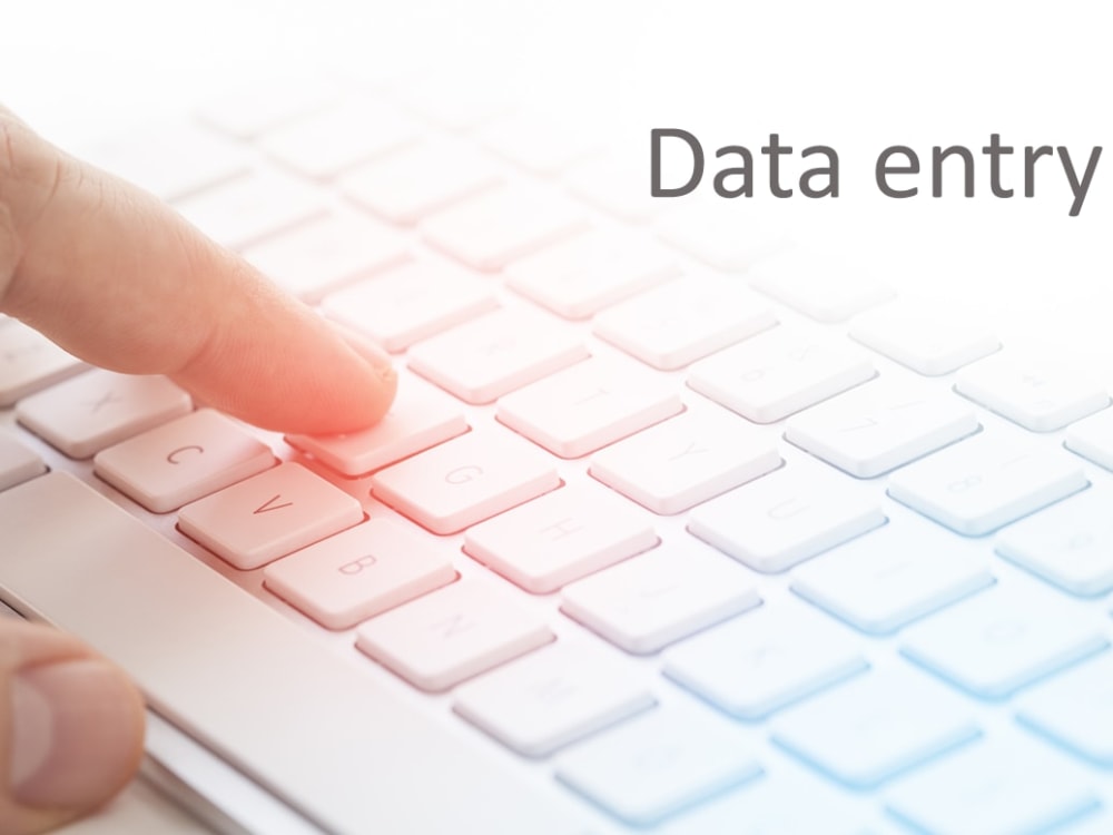 An experienced data entry person who is able to work in many areas ...
