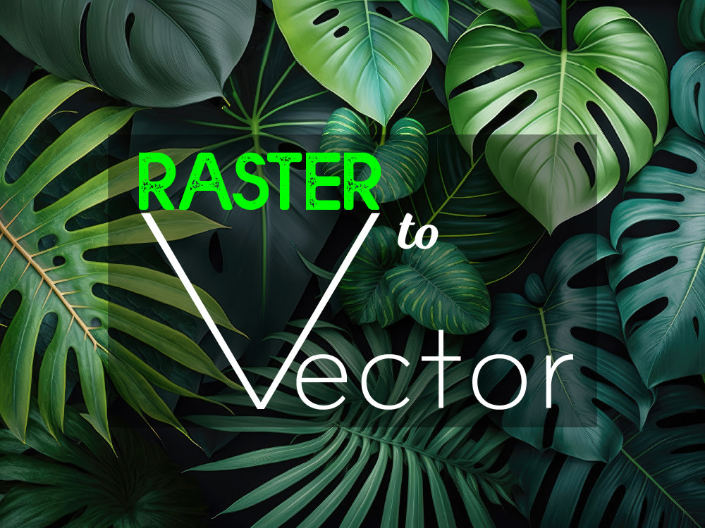 High resolution vector (SVG) from low res raster graphic. | Upwork