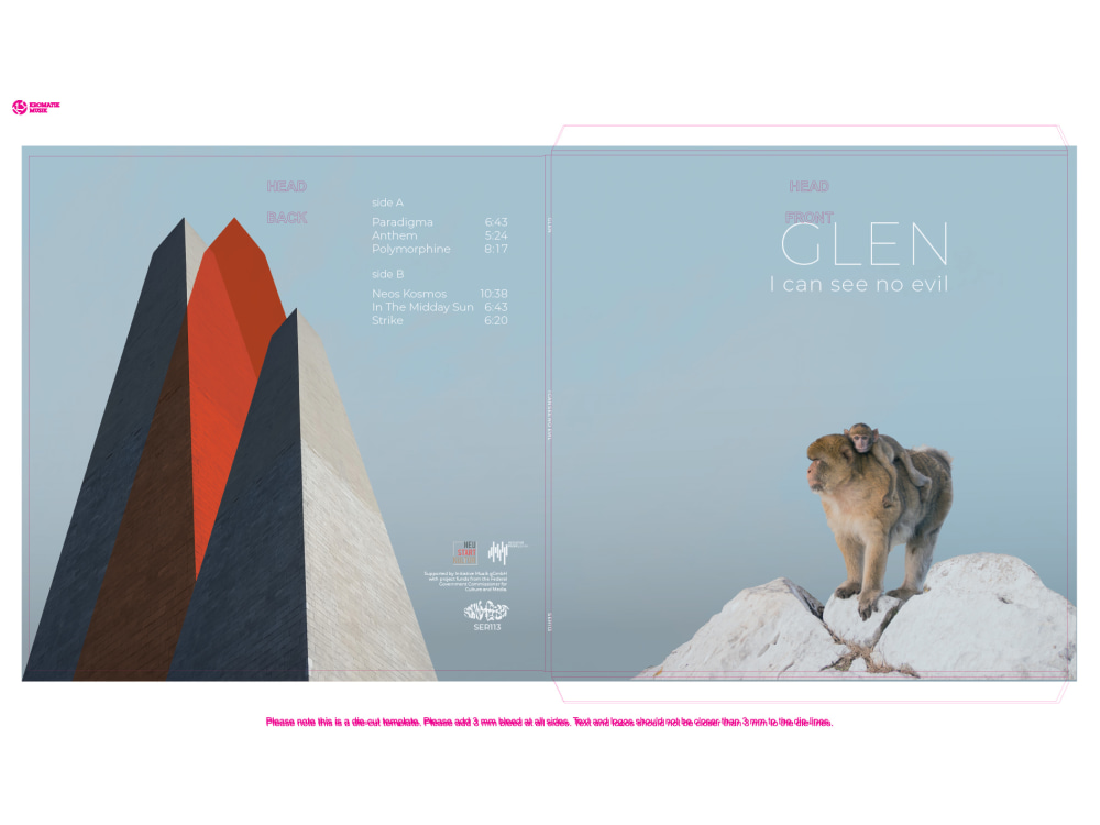 Album Packaging: Vinyl LP, Single and CD cover, labels, insert ...