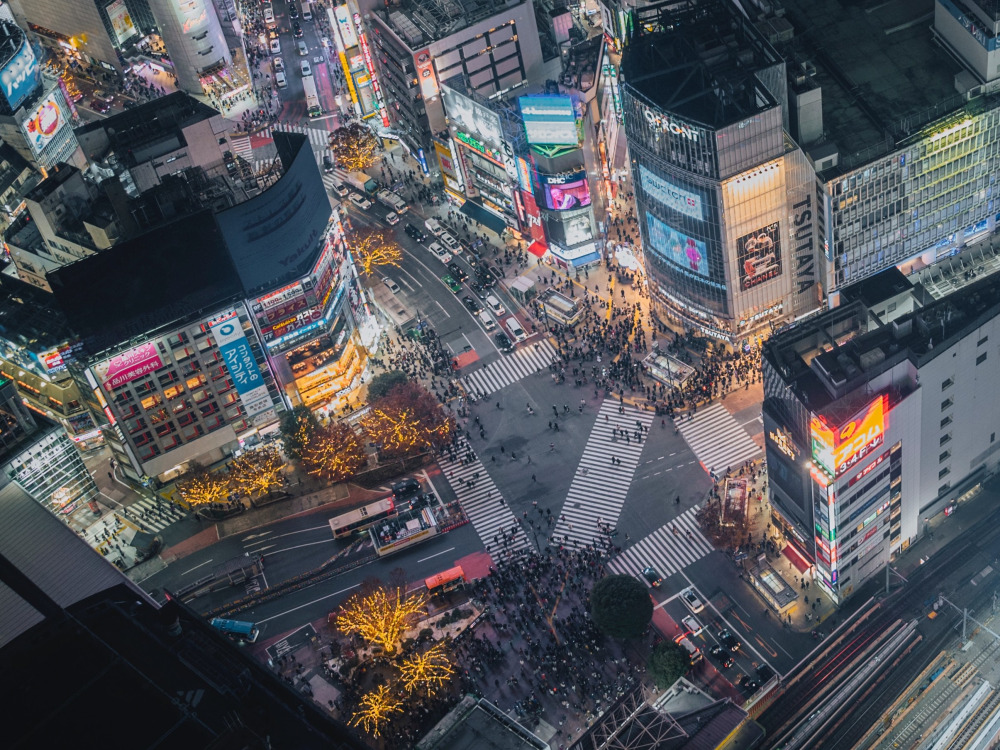 Your AI created Japanese content humanized | Upwork