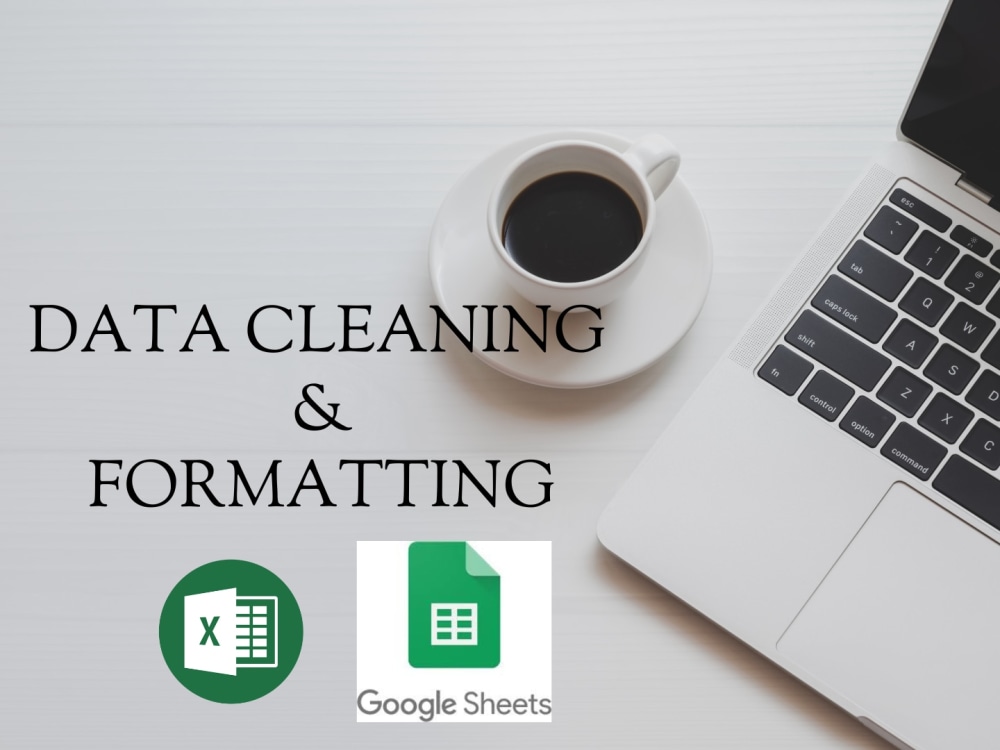 Data Entry, Cleaning, Formatting Specialist For Excel and Google Sheets ...