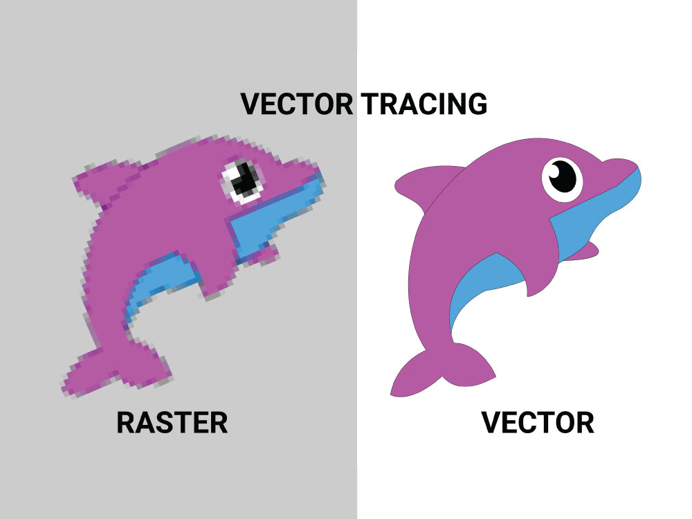 Vector illustration, vector art, vector tracing of your image or logo | Upwork