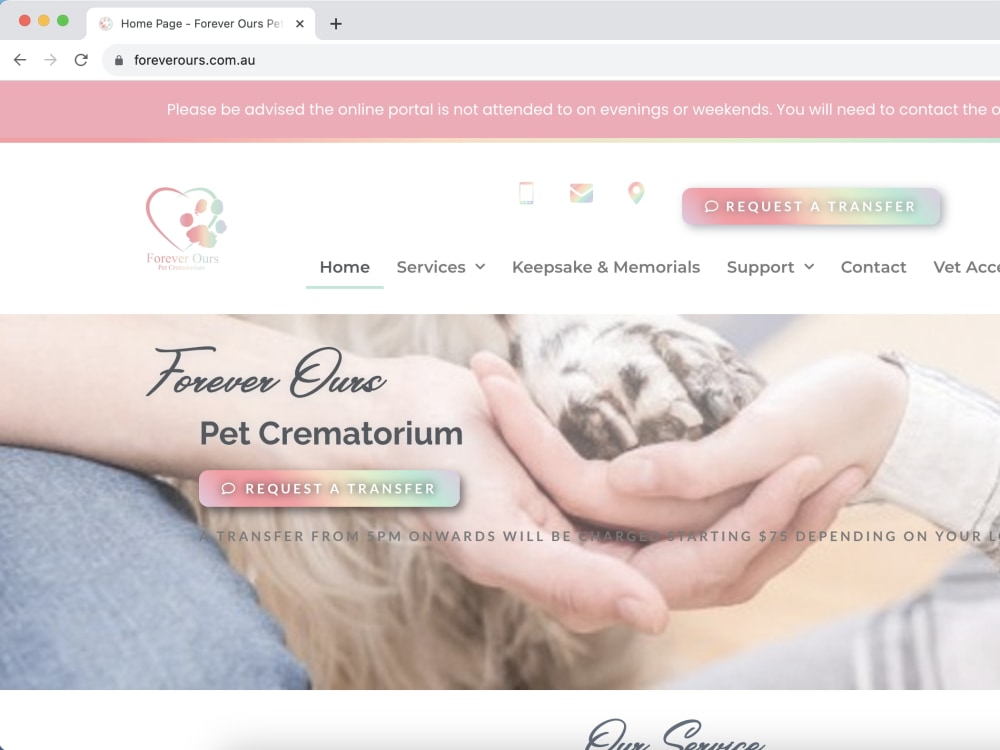 Versatile Web Development - Basic, Standard, and Premium Packages ...