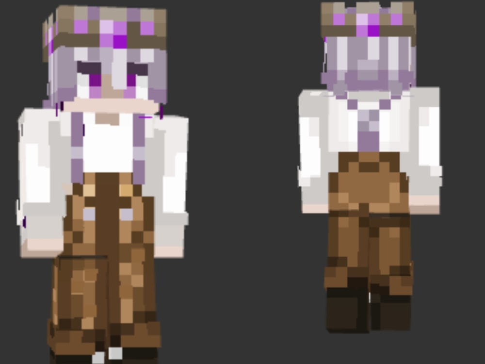 A custom-made Minecraft Skin for 5 dollars. (Java edition) | Upwork