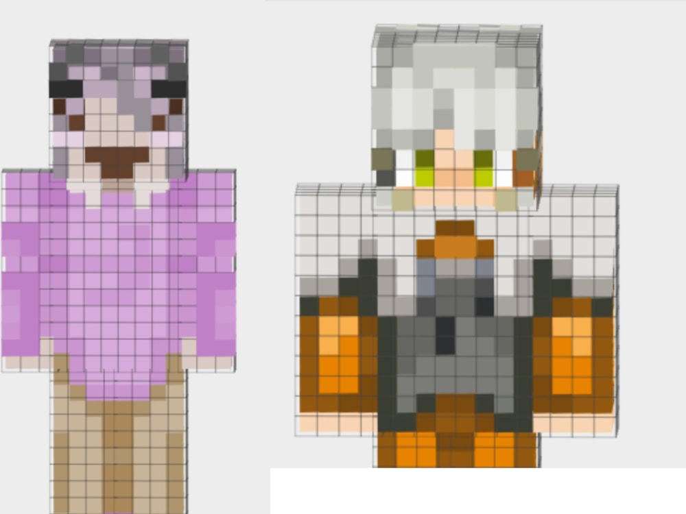 A custom-made Minecraft Skin for 5 dollars. (Java edition) | Upwork