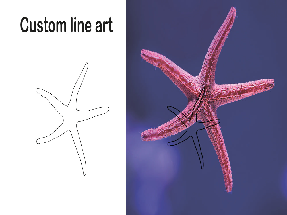 Awesome clean and smooth line drawings for all purposes. | Upwork