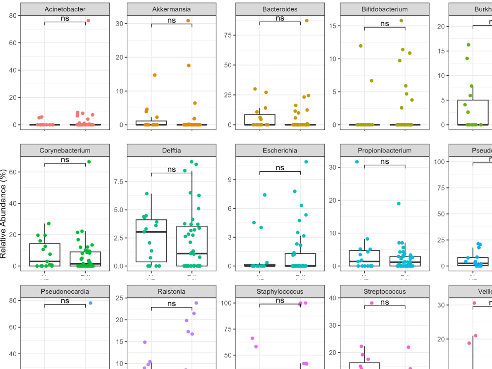 Complete Microbiome Bioinformatics Analysis Ready for Publication in 3 days | Upwork