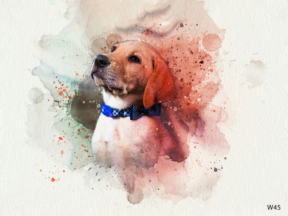 22 Custom Pet Portrait Art Design with Printable Quality | Upwork
