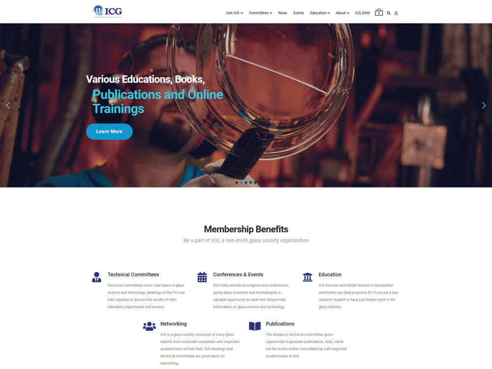 A mobile responsive Wordpress website | Upwork