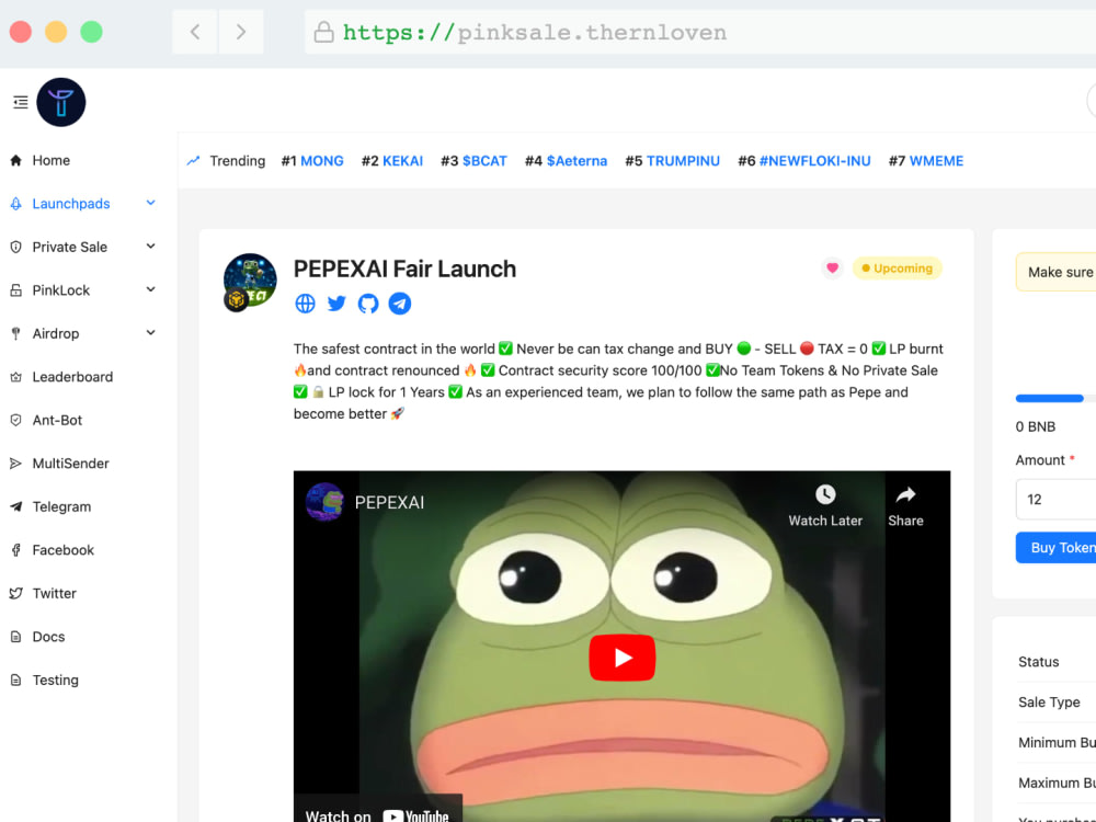 A custom Pinksale Clone | Upwork