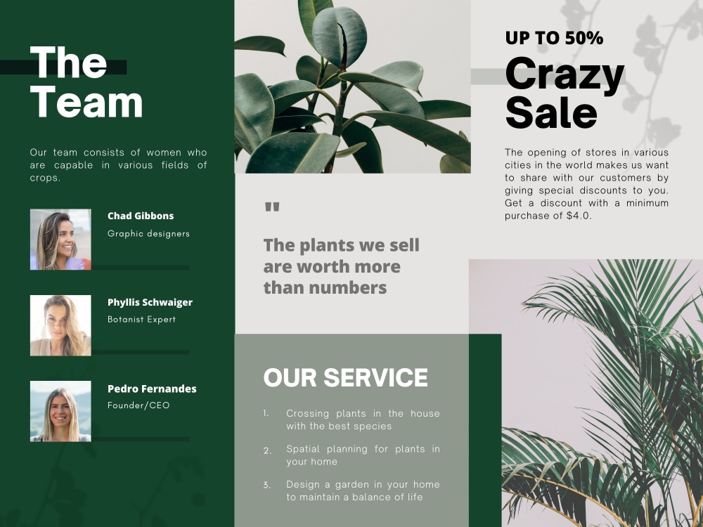 Editable email template and newsletter | Upwork