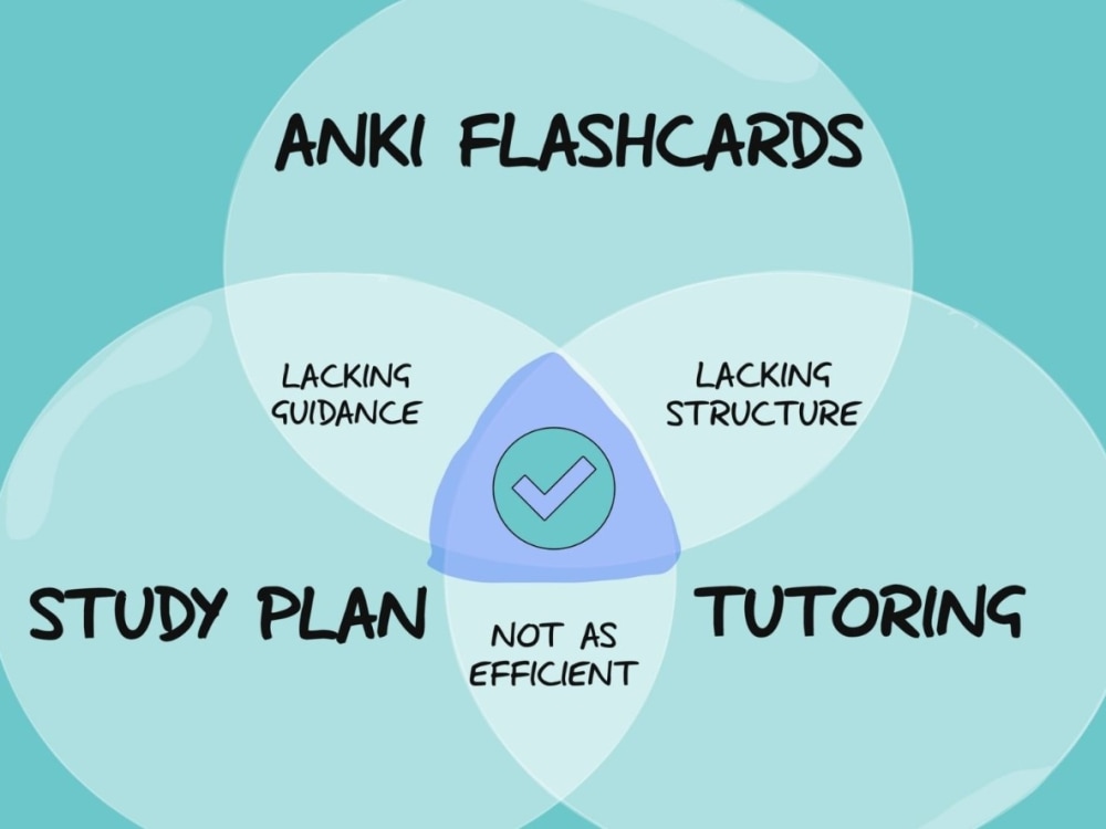 Professional, effective and memorable Anki flashcards | Upwork