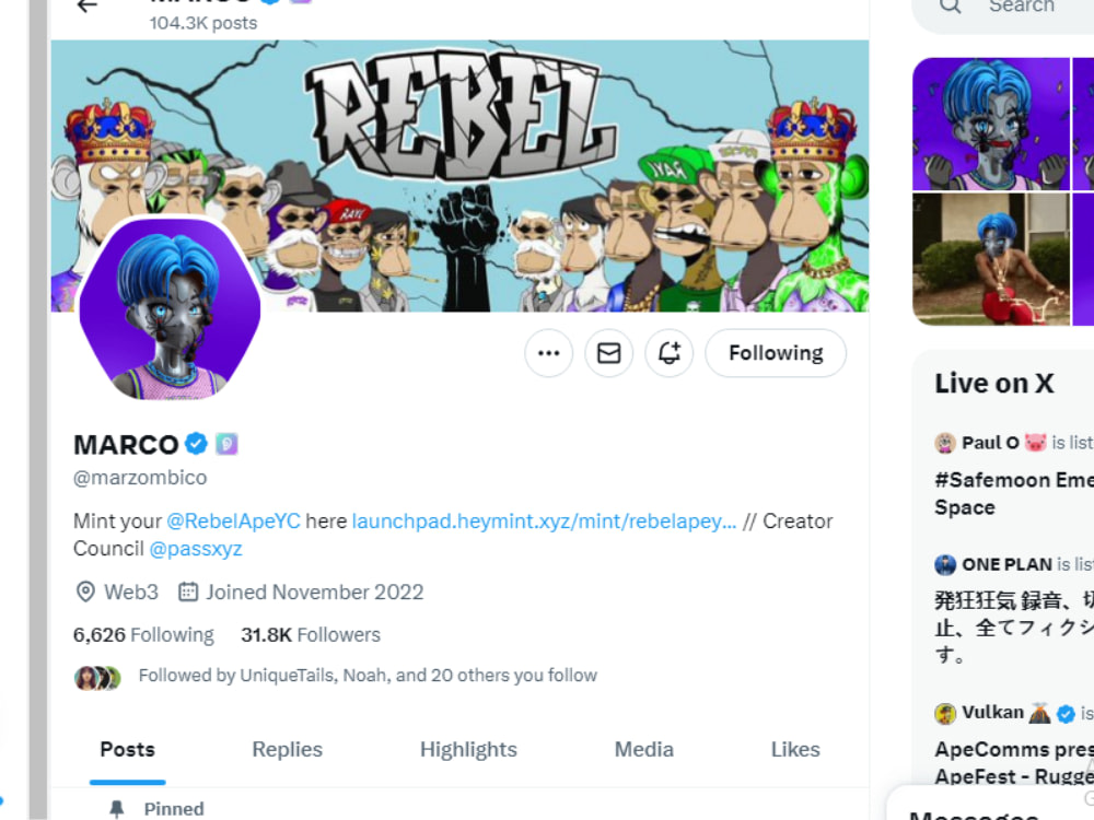 Community maneger for twitter project | Upwork