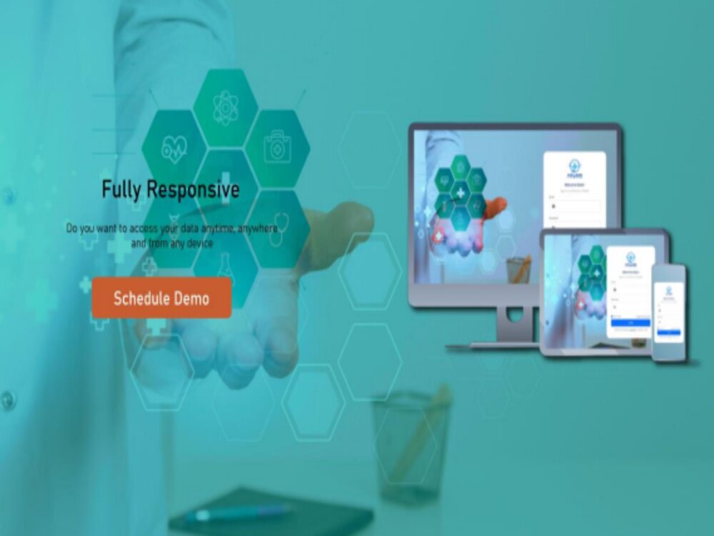 Web application with interactable UI, Fast & Secure still budget ...