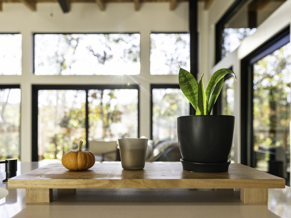 A cohesive and clean gallery delivered within 24 hours | Upwork