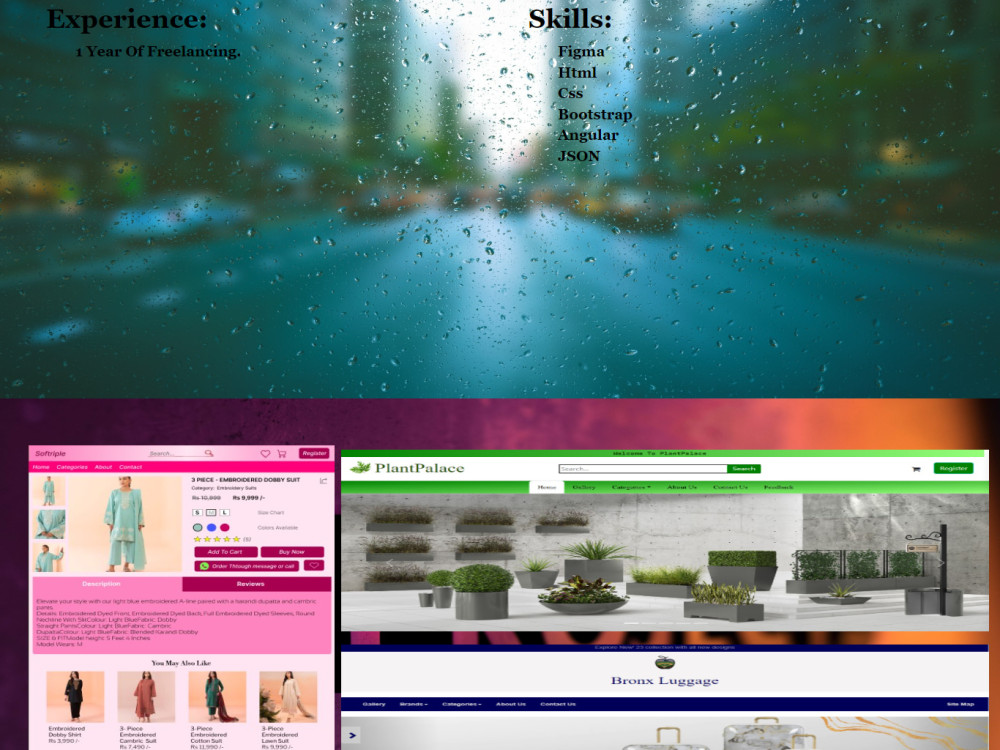 A portfolio that shows your Work, Experience, Skills & Education. | Upwork