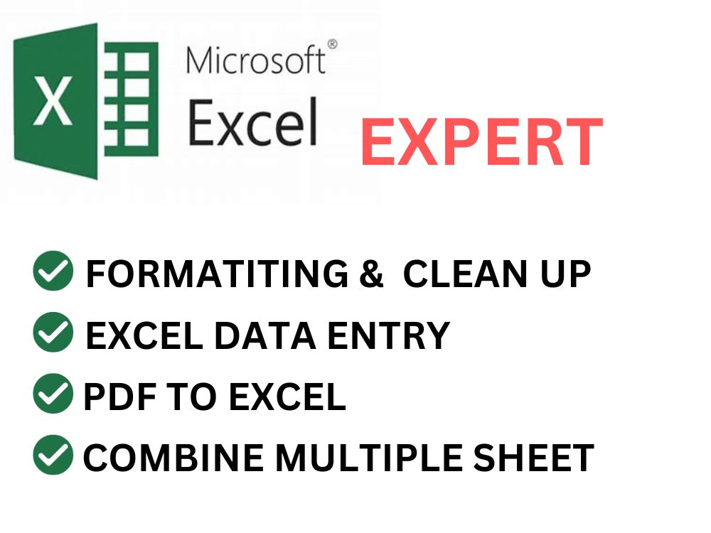 Excel Data Entry Data Cleaning And Formatting Service With 100