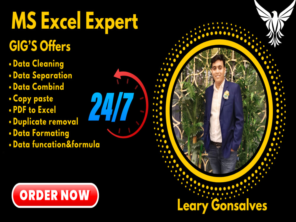 Excel expert ready to tidy up your data mess and make it shine | Upwork