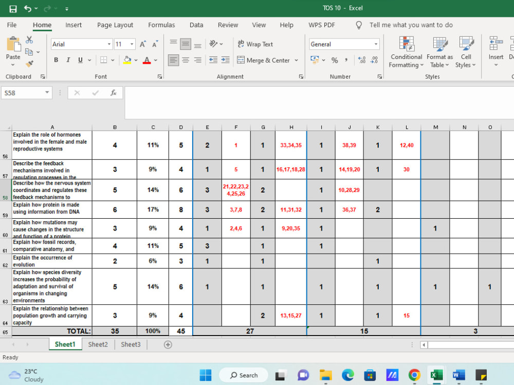 A detail-oriented and multi-tasker person | Upwork
