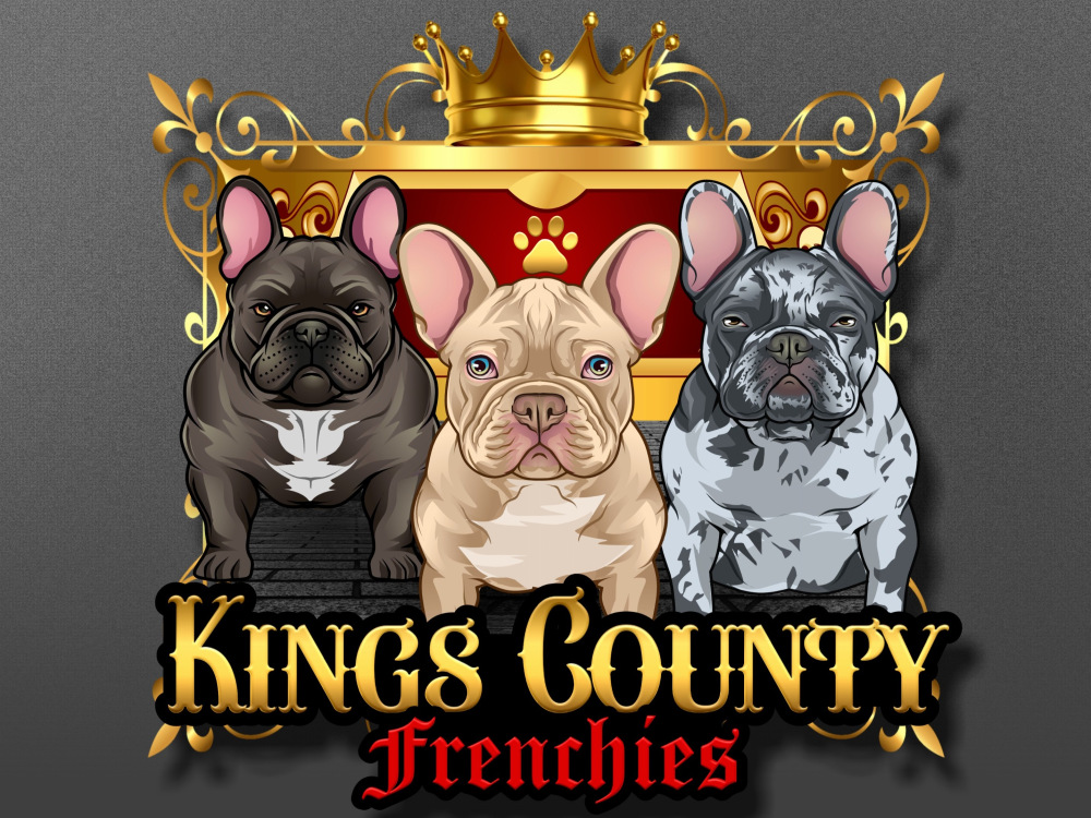 A Frenchie or Pet Logo | Upwork